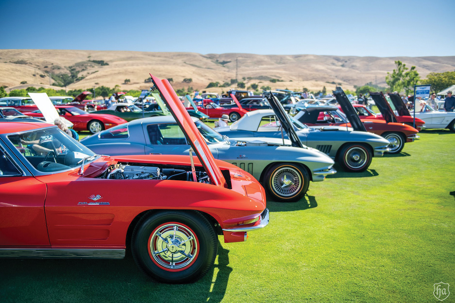 Tim McGrane - Highline Autos - Your source for distinguished automobiles